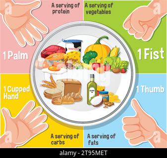 Learn how to compare food portions using hand sizes Stock Vector Image ...