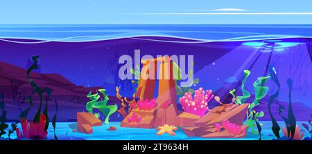 Underwater landscape with starfish and seaweeds. Vector cartoon ...
