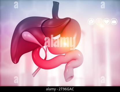 Anantomy of Liver stomach pancreas gallbladder and spleen on medical ...