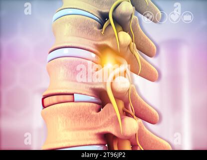 Human vertebrae anatomy science background. 3d illustration Stock Photo ...