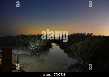 Purple Island 10/11/2023 Doha Qatar Stock Photo - Alamy