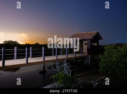 Purple Island 10/11/2023 Doha Qatar Stock Photo - Alamy