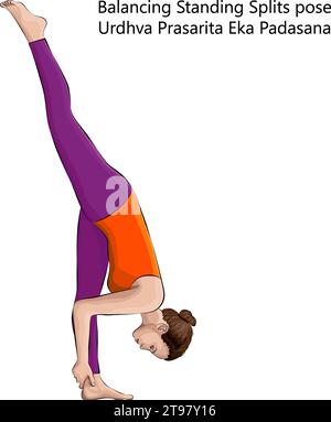 Yoga pose, woman to do the splits, vector coloring drawing portrait ...