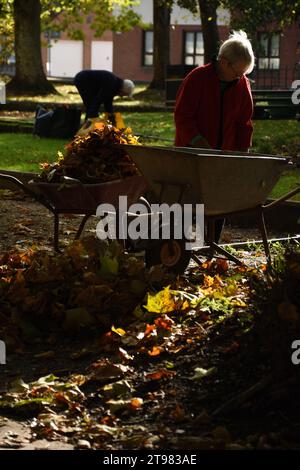 Elderly volunteers clearing autumn leaves at Wimborne Minster in Dorset ...