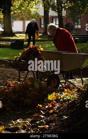 Elderly volunteers clearing autumn leaves at Wimborne Minster in Dorset ...