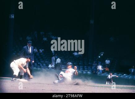 DETROIT, MI - JUNE 29: Ted Lepcio #22 of the Detroit Tigers puts the ...