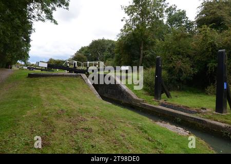 Northampton canal pictures lock gates swan swans white water sign signs ...