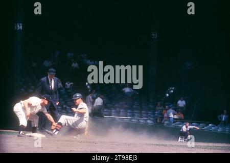 DETROIT, MI - JUNE 29: Ted Lepcio #22 of the Detroit Tigers puts the ...