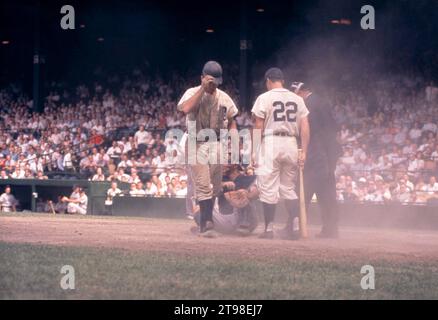DETROIT, MI - JUNE 29: Ted Lepcio #22 of the Detroit Tigers puts the ...