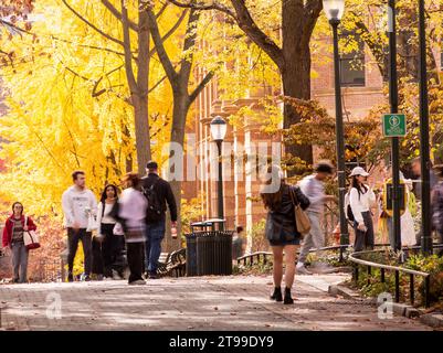 Locust Walk with students in fall, University of Pennsylvania ...