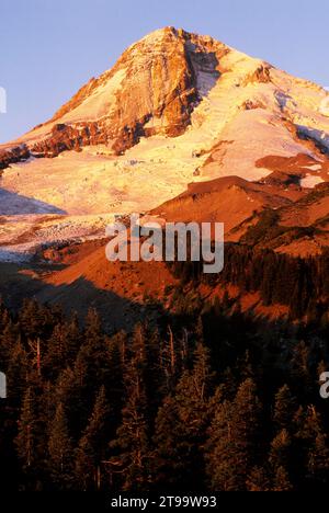 Mt Hood from Cloud Cap, Mount Hood National Forest, Oregon Stock Photo ...