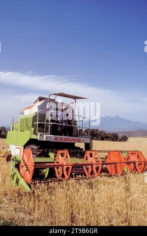 Tanzania, Moshi - combine harvester, at work in a grain field. In the ...