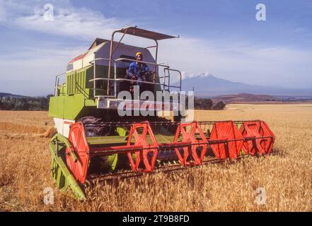 Tanzania, Moshi - combine harvester, at work in a grain field. In the ...