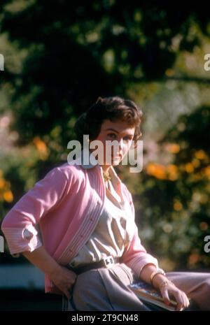 MARCH, 1955: American film and television actress Donna Reed (1921-1986 ...