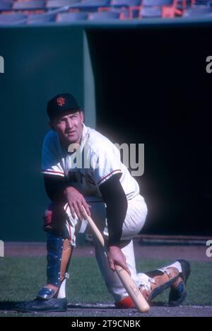 SAN FRANCISCO, CA - 1962: Tom Haller #5 of the San Francisco Giants ...