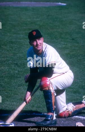 SAN FRANCISCO, CA - 1962: Tom Haller #5 of the San Francisco Giants ...
