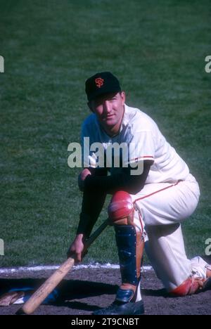 SAN FRANCISCO, CA - 1962: Tom Haller #5 of the San Francisco Giants ...