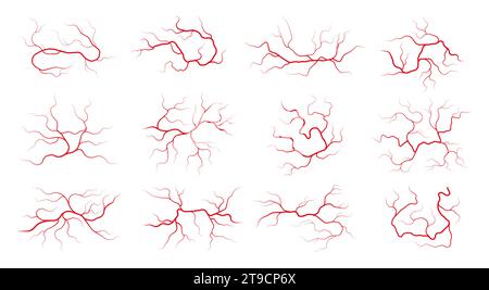 Human veins. Colorful blood vessels with flowing blood, arterial and ...