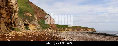 BLACKHALL ROCKS BEACH, COUNTY DURHAM - SEAWEED Stock Photo - Alamy