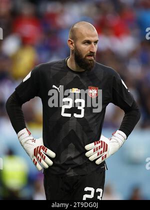 AL WAKRAH - Serbia goalkeeper Vanja Milinkovic-Savic during the FIFA ...
