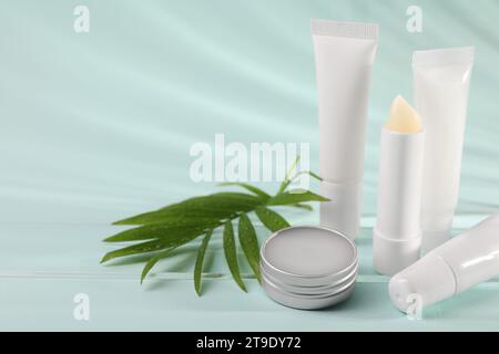 Different lip balms and palm leaf on light blue background Stock Photo ...