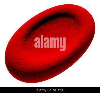 Elliptocyte. Illustration of an abnormal red blood cell known as an ...