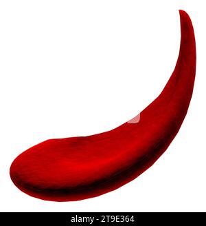 Sickle cell anemia disease (SCD) blood cells 3D illustration Stock ...