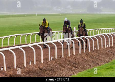 Bermingham Cameras sponsored Harty Racing horses train on the gallops ...