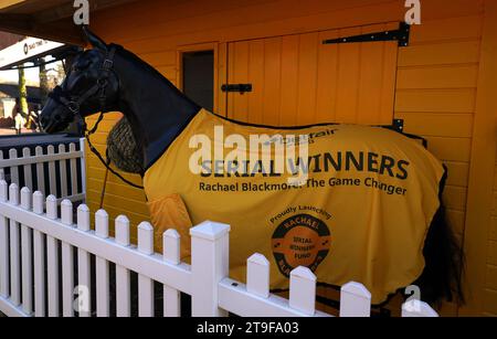A general view of Betfair branding during Betfair Chase Day at Haydock ...