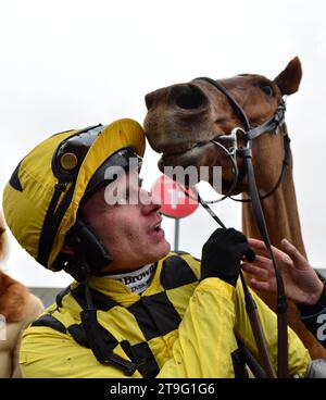 State Man and jockey Paul Townend after winning the Matheson Hurdle ...