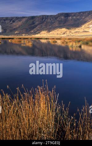 Ana River with Winter Rim, Summer Lake Wildlife Area, Oregon Outback ...