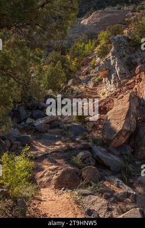 The Liberty Cap trail in the Colorado National Monument winds its way ...