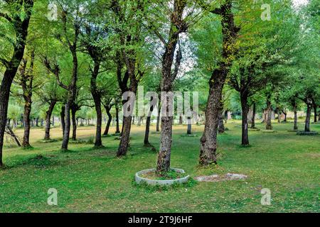 Betab valley, formerly known as Hajan or Hagan Valley is a tourist ...