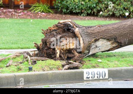 Storm damage after 70 mph wind with rain hit the Bay Area overnight in ...
