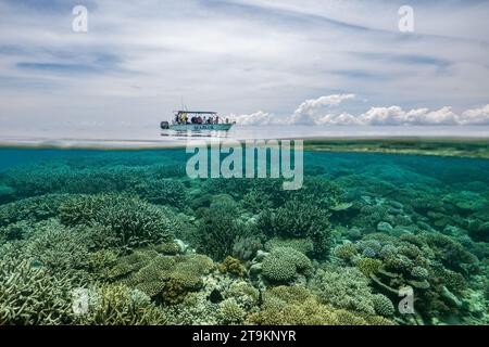 Swim at low tide over the coral reef of Mayotte lagoon Indian Ocean ...