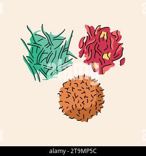 Hand drawn variety of tea color element. Cartoon unprocessed food ...