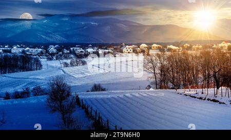 mountainous landscape on a winter solstice day. leafless birch trees on ...