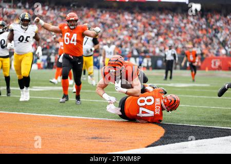 Cincinnati Bengals tight end Drew Sample (89) runs after a catch during ...