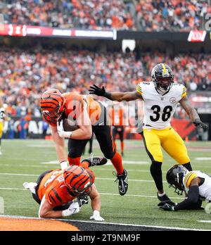Cincinnati Bengals tight end Drew Sample (89) runs after a catch during ...