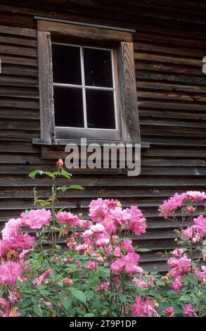 Foster Store window, Philip Foster Farm Historic Site, Eagle Creek ...