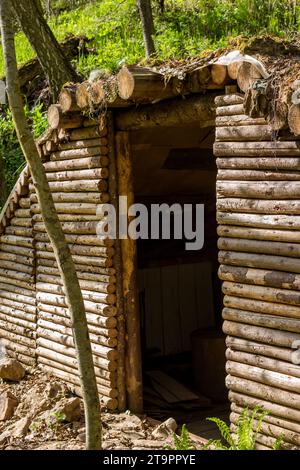 Forest dugout built from logs and branches. Wilderness Survival Stock ...