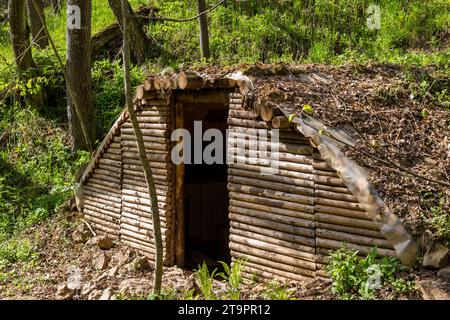 Forest dugout built from logs and branches. Wilderness Survival Stock ...