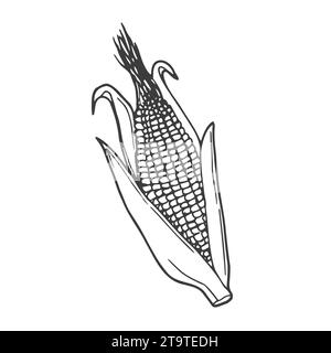 Corn on the Cob Outline Illustration Stock Vector Image & Art - Alamy