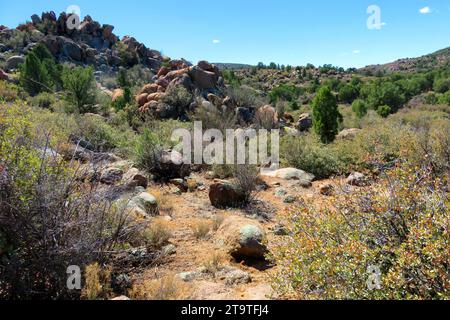 Kaibab National Forest north central in Arizona Stock Photo - Alamy