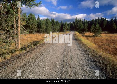 Logan Valley, Malheur National Forest, Oregon Stock Photo - Alamy