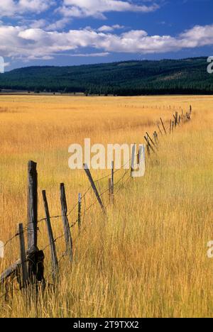 Logan Valley, Malheur National Forest, Oregon Stock Photo - Alamy