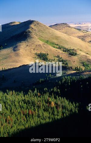 View from Drake Peak Lookout, Fremont National Forest, Oregon Stock ...