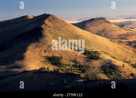 View from Drake Peak Lookout, Fremont National Forest, Oregon Stock ...