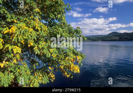 Foster Lake, Linn County, Oregon Stock Photo - Alamy