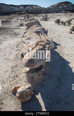 Classic American Landscapes: Bisti Wilderness in NW New Mexico is an ...